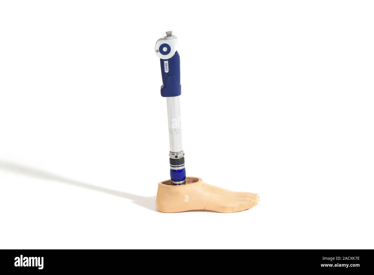 A prosthetic leg Stock Photo - Alamy