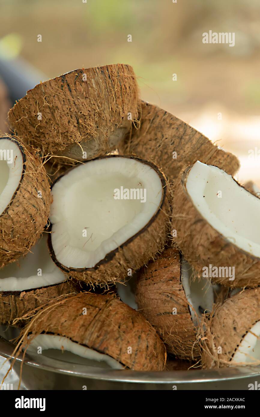 A pile of coconuts in India, Lots of fresh flavored coconut Stock Photo ...