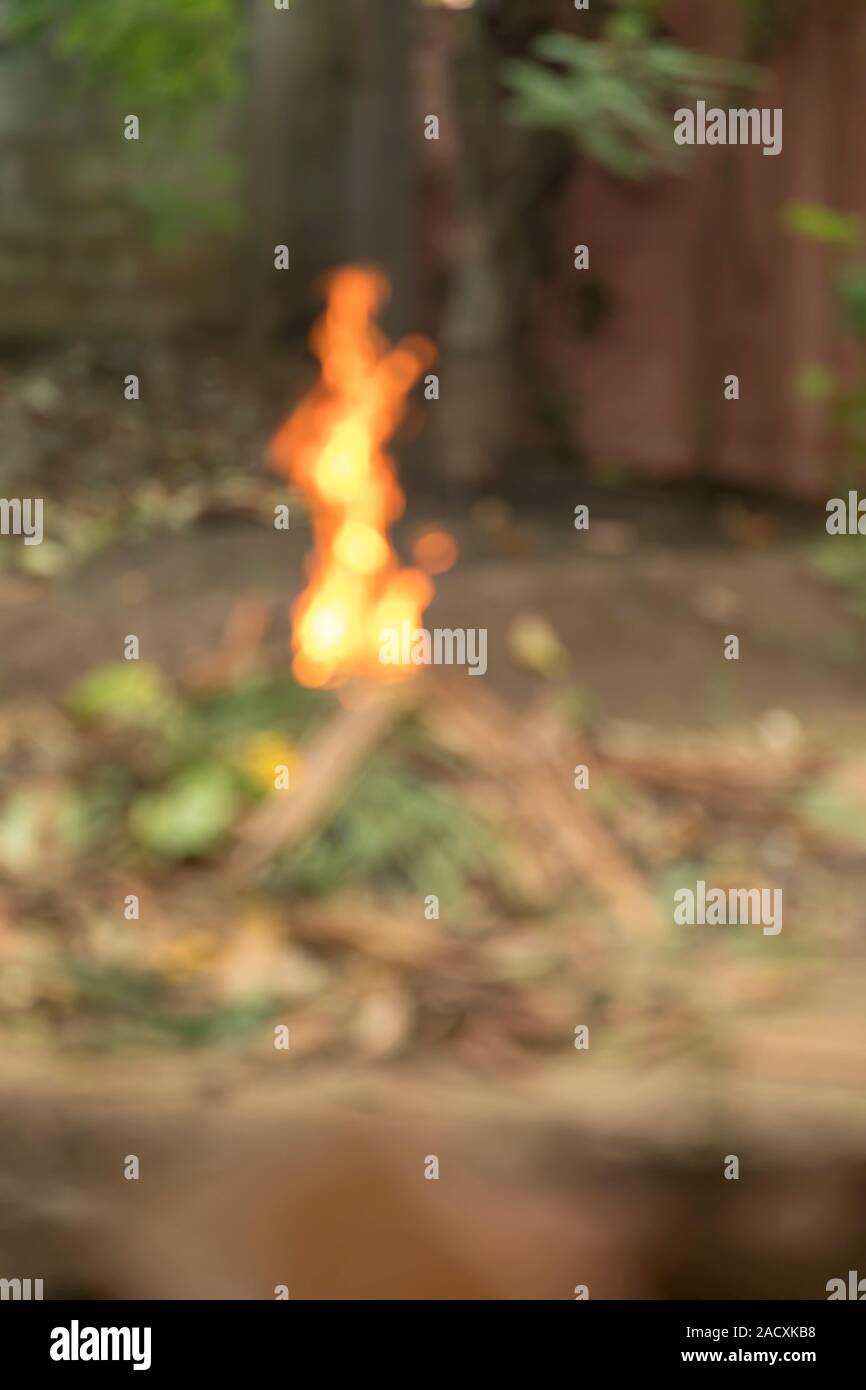 Coconut waste india hi-res stock photography and images - Alamy