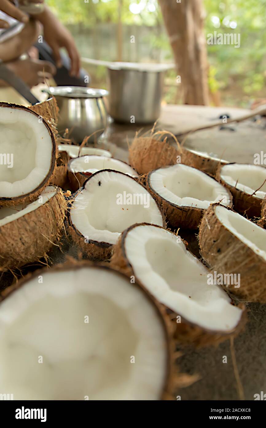 Closeup of coconut, Many coconuts cut in organic Stock Photo - Alamy