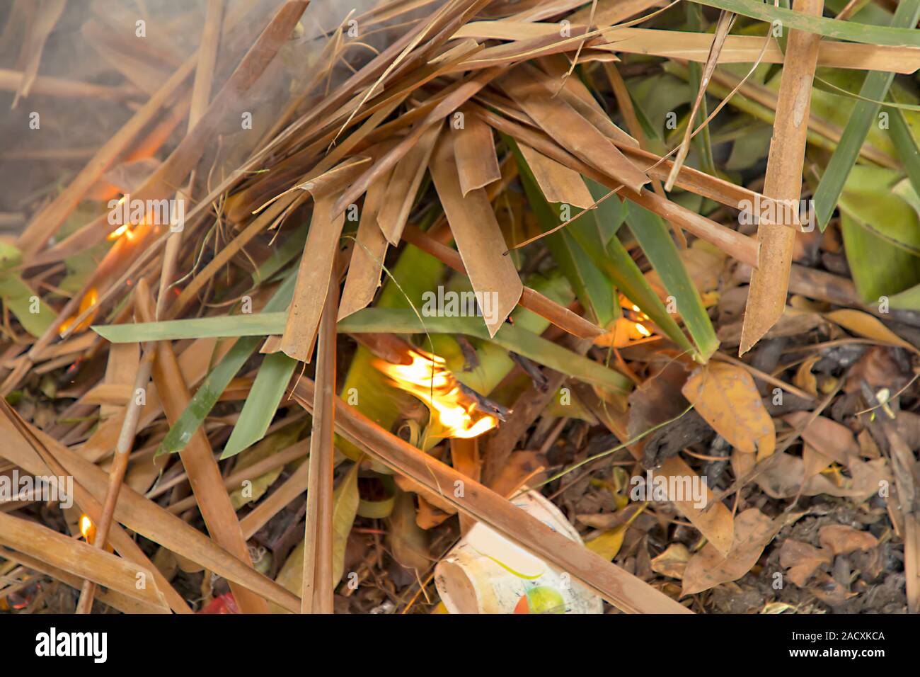 Burning old dry grass in garden. Destruction of green spaces, closeup ...