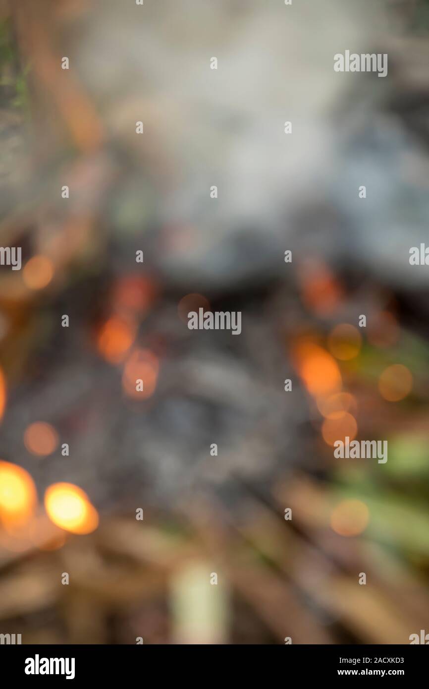 burn fire green and dry coconut tree leaf in garden Stock Photo - Alamy