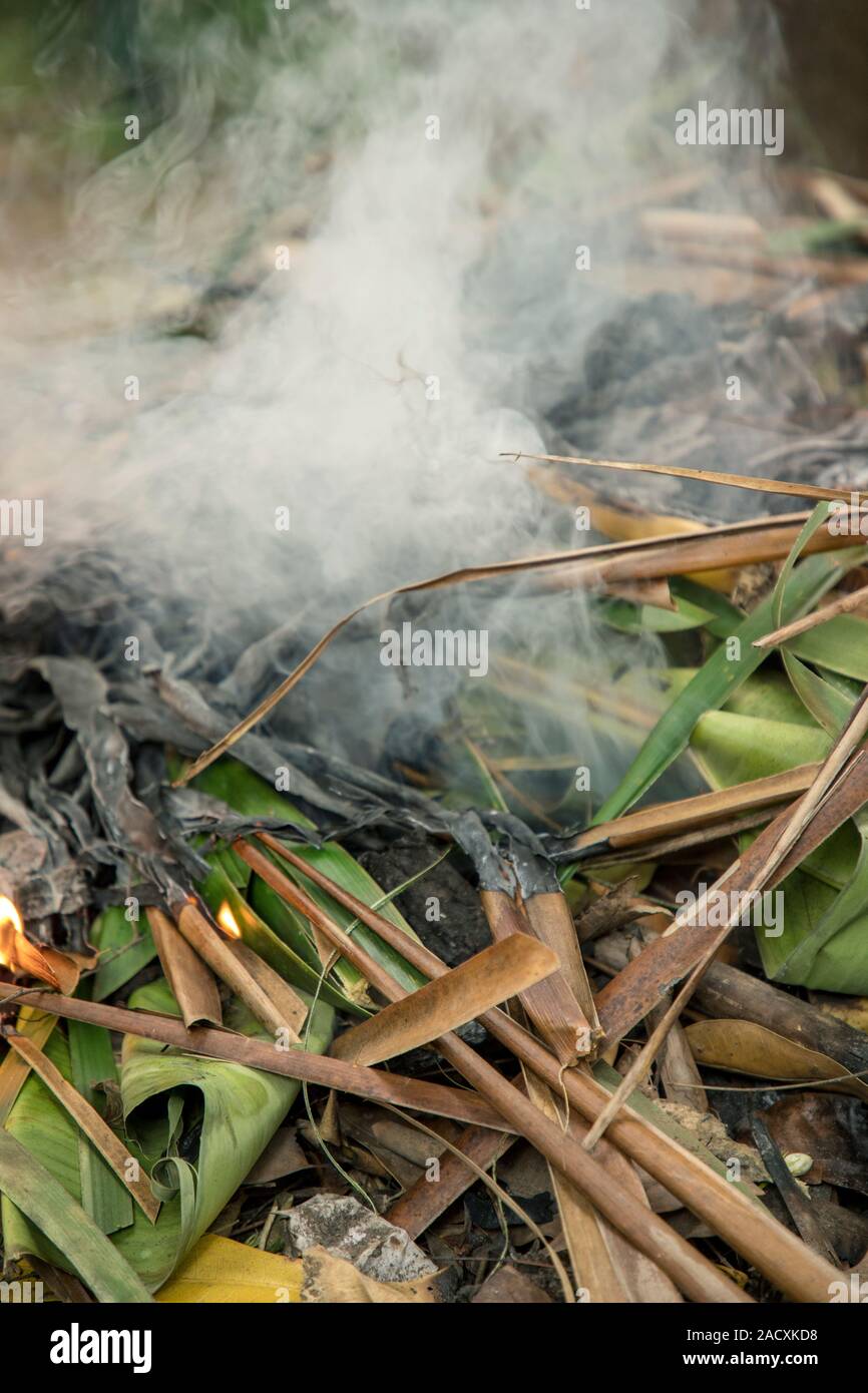 large pile of burning branches and leaves with smoke Stock Photo - Alamy