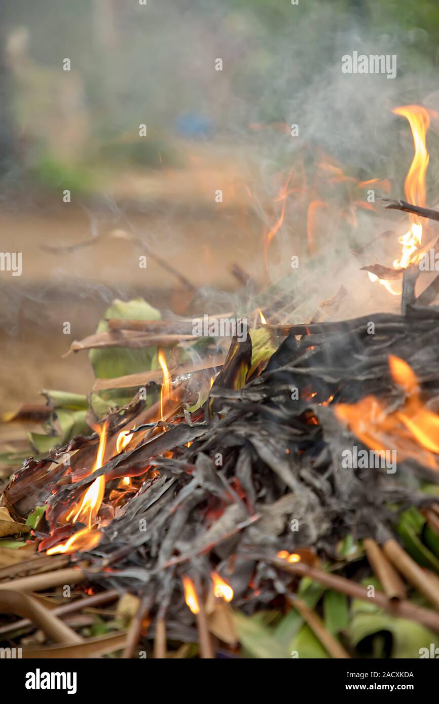Burning tree branches plastic waste hi-res stock photography and images ...