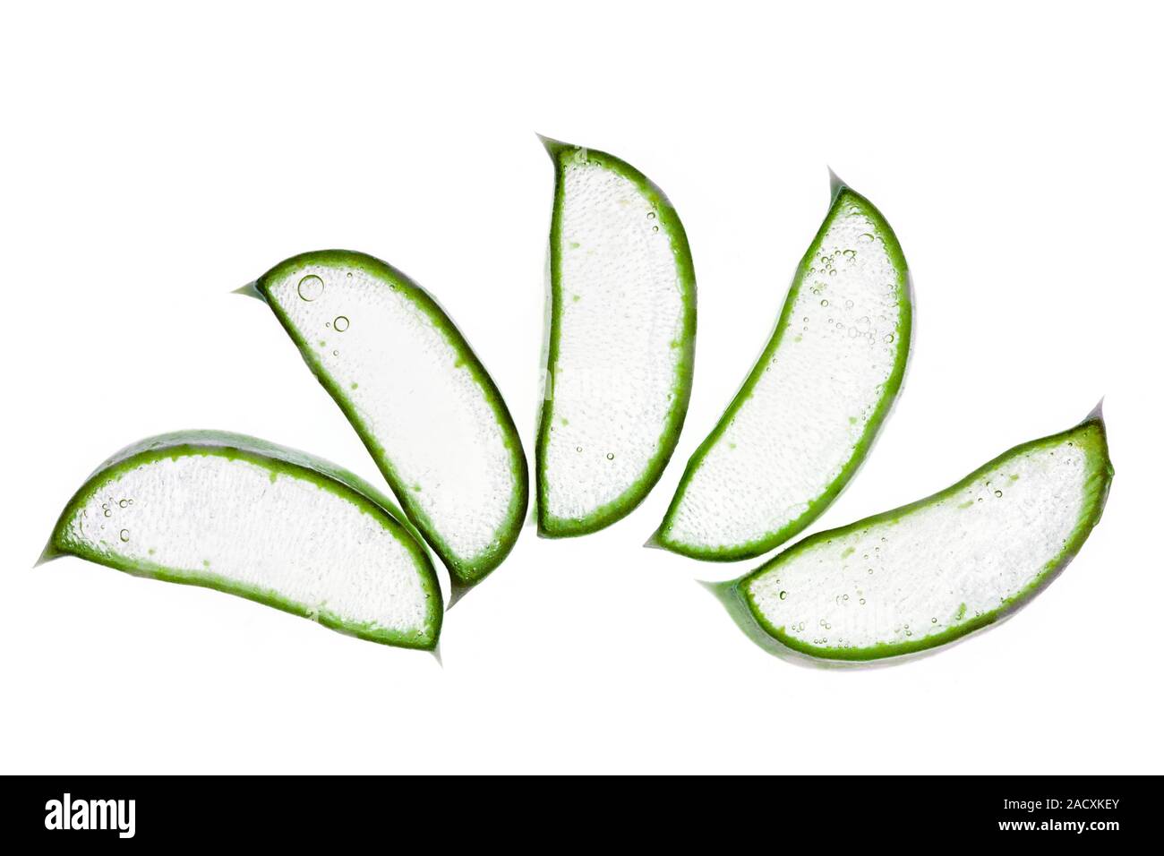 Cut Aloe vera leaf Stock Photo - Alamy