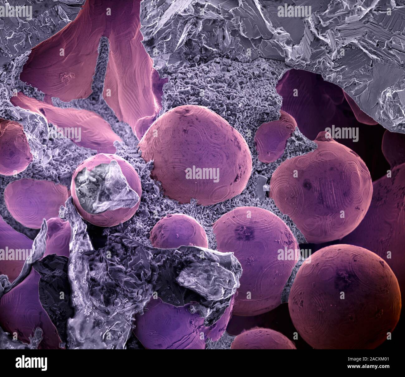 Additive manufacturing surface. Coloured scanning electron micrograph ...