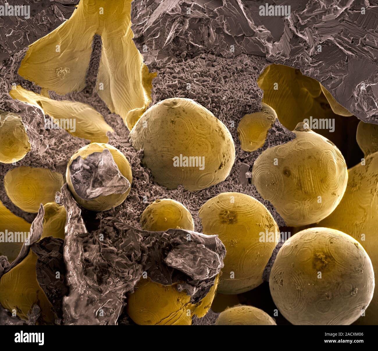 Additive manufacturing surface. Coloured scanning electron micrograph ...