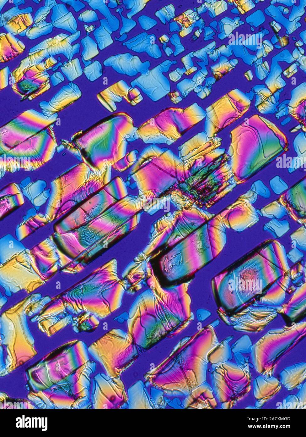 Magnesium citrate. Polarised light micrograph of crystals of the oral ...