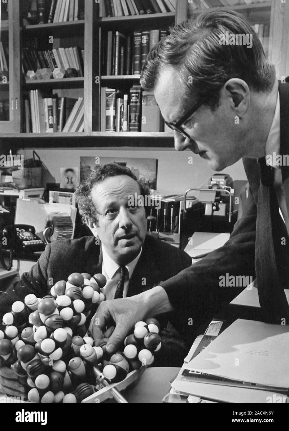 Hamilton and Wilkins. British medical researcher Leonard Hamilton ...