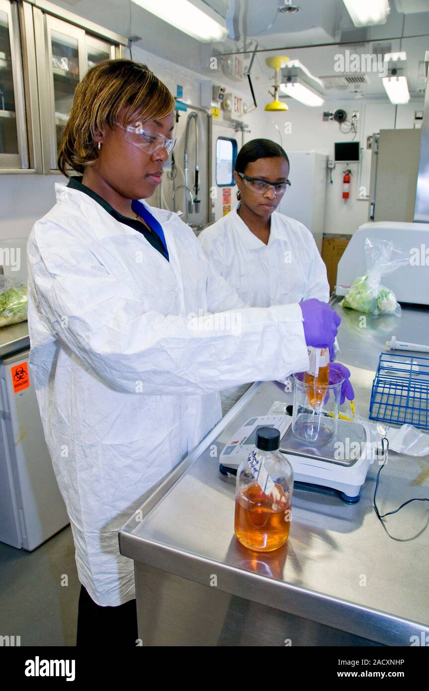 Editorial use only Preparing microbiological sample. Microbiologist ...