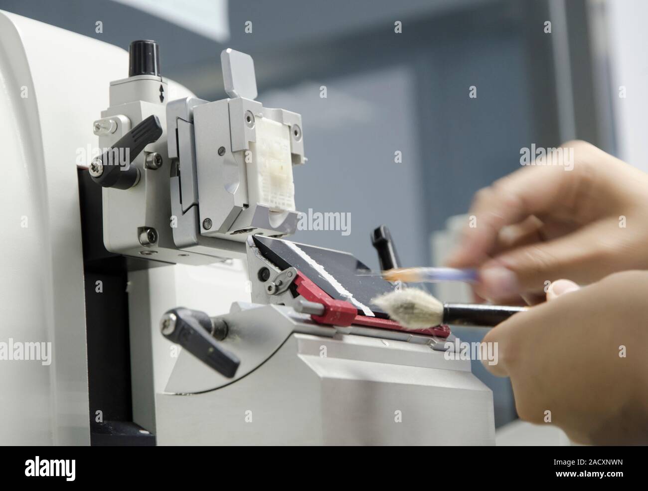 Microtome slicing of sample in paraffin. Close-up of a microtome ...