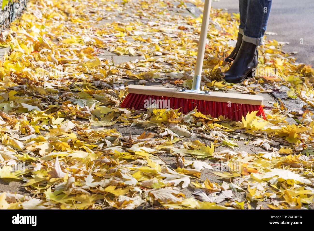 Sweeping Autumn Leaves High Resolution Stock Photography and Images - Alamy