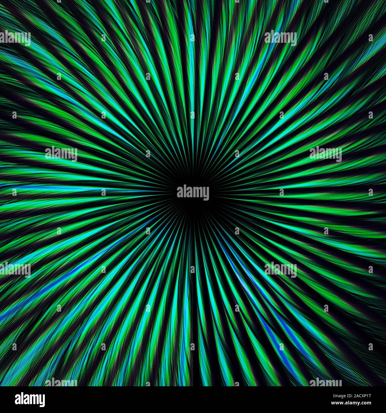 Killer whale (Orcinus orca) sounds, wavelet graph. This image was ...