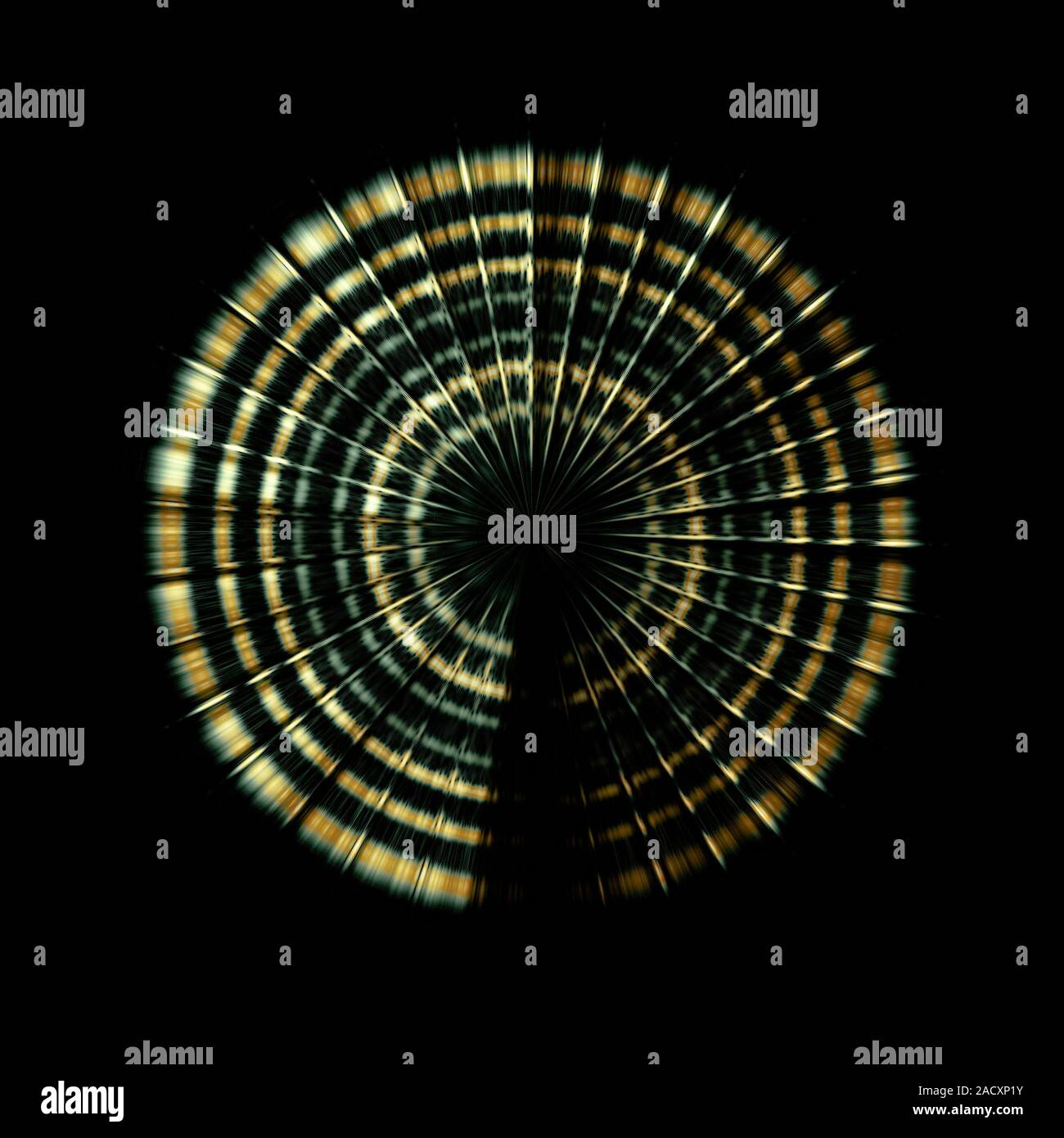 Cuban Solitaire (Myadestes elisabeth) song, wavelet graph. This image ...