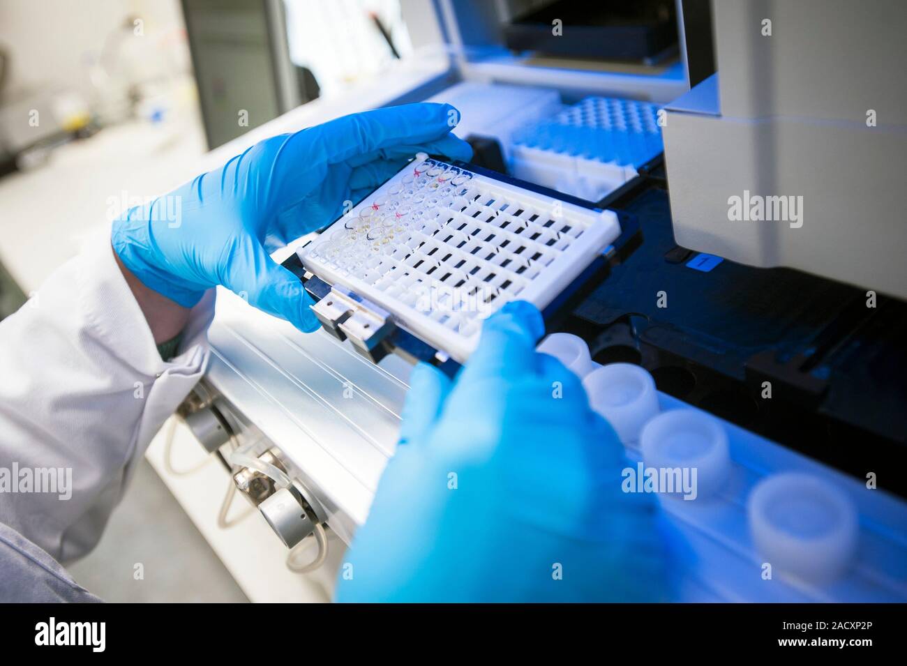 Medical microbiology. Close-up of a researcher loading sample vials ...