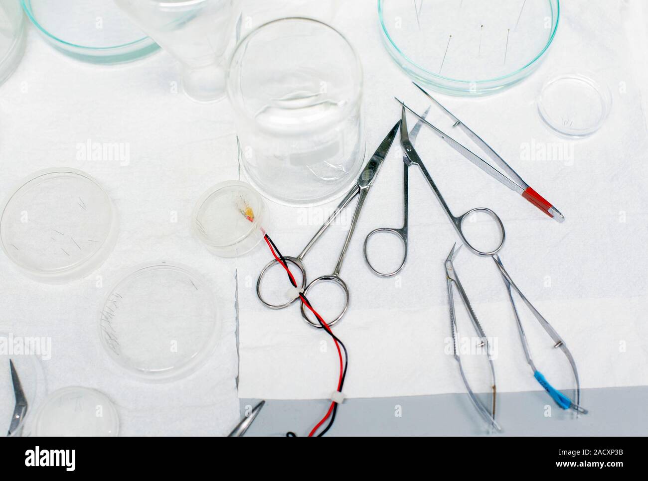 Laboratory equipment. Assorted medical laboratory equipment, including ...