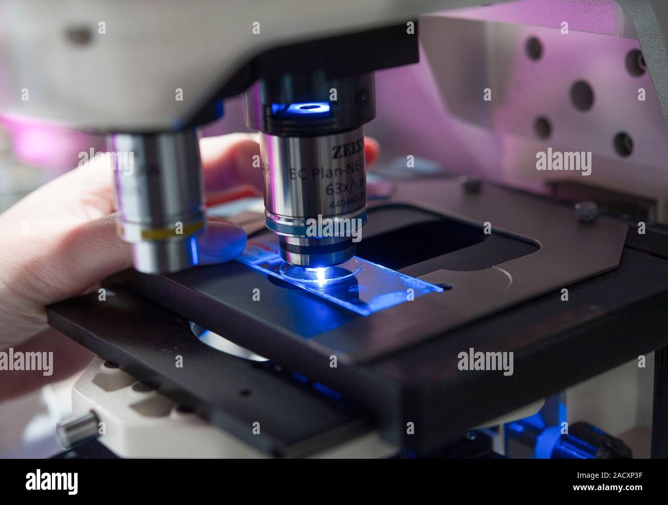 Fluorescence microscopy. Close-up of the specimen holder with a sample ...