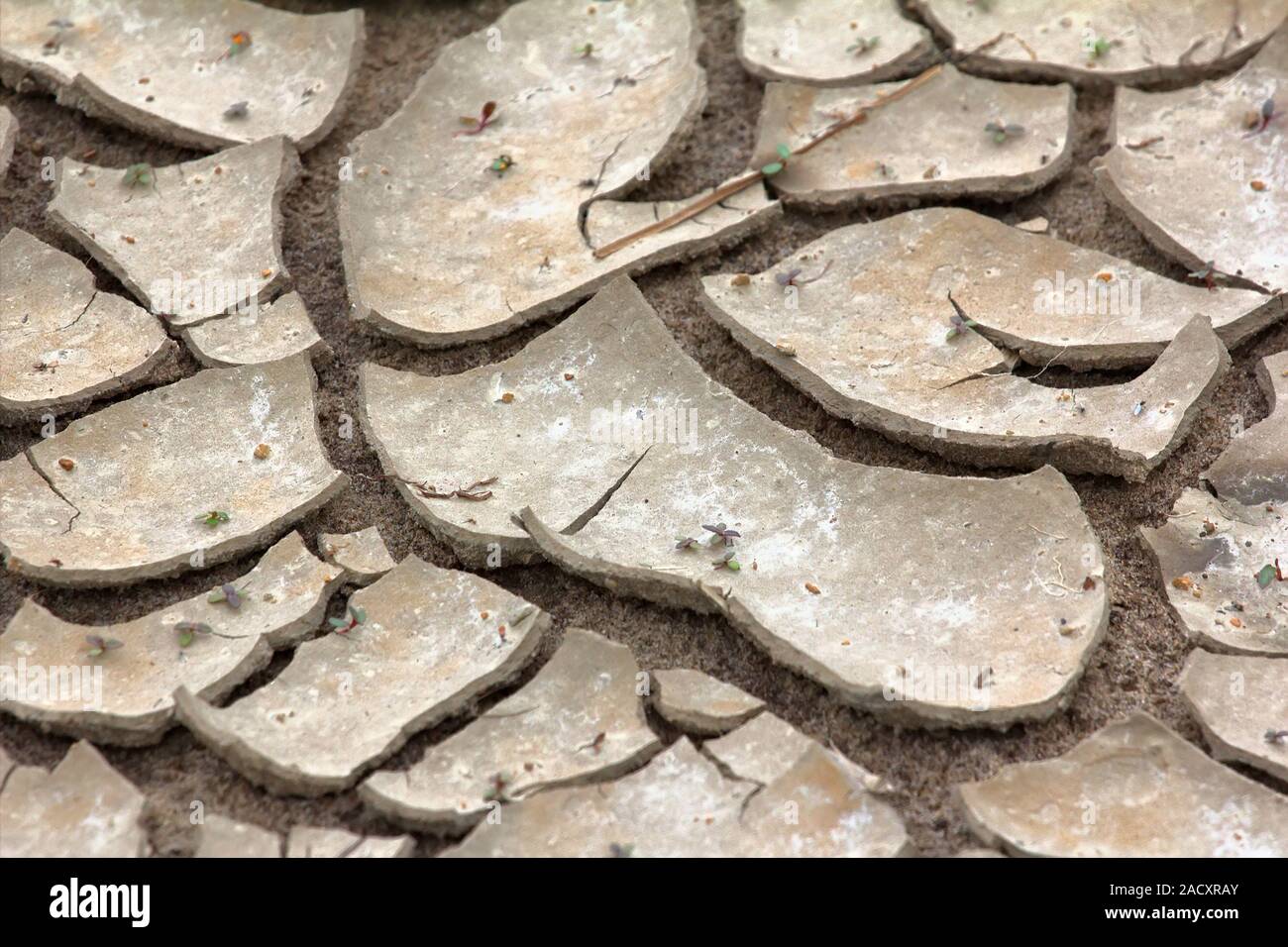 Picture of drought: drying up of water bodies due to lack of ...
