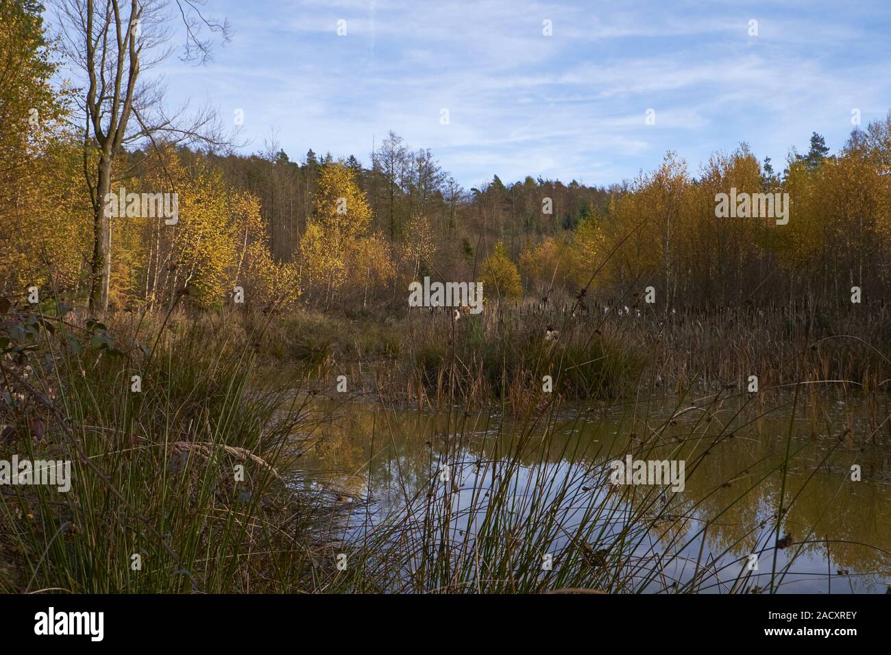 Autumn in the northern Steigerwald, Lower Franconia, Bavaria, Germany ...