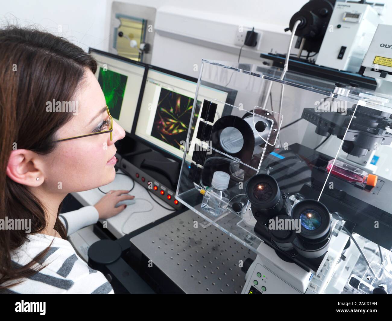 Confocal light microscopy. Researcher using a confocal light microscope ...