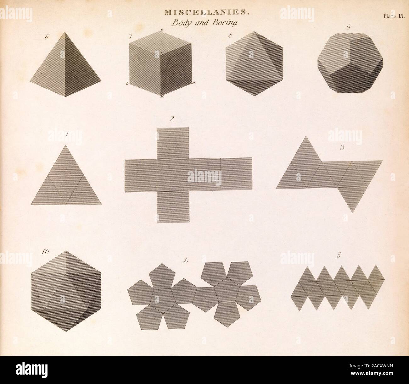 Polyhedron geometry. 19th-century artwork of various polyhedrons in 3D ...