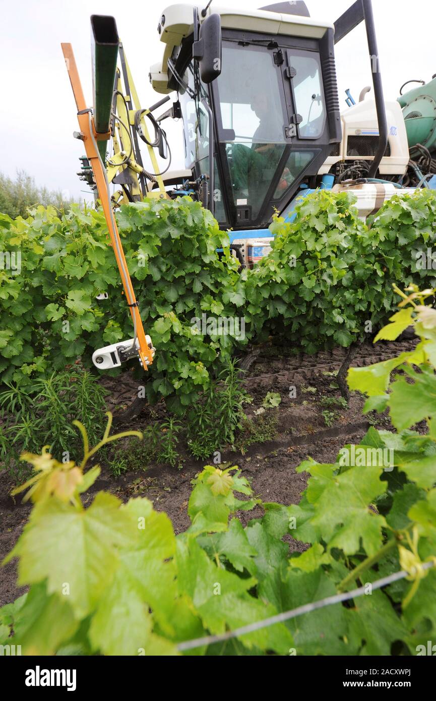 Crop sensing system. Optical sensor (white) for assessing the health of ...