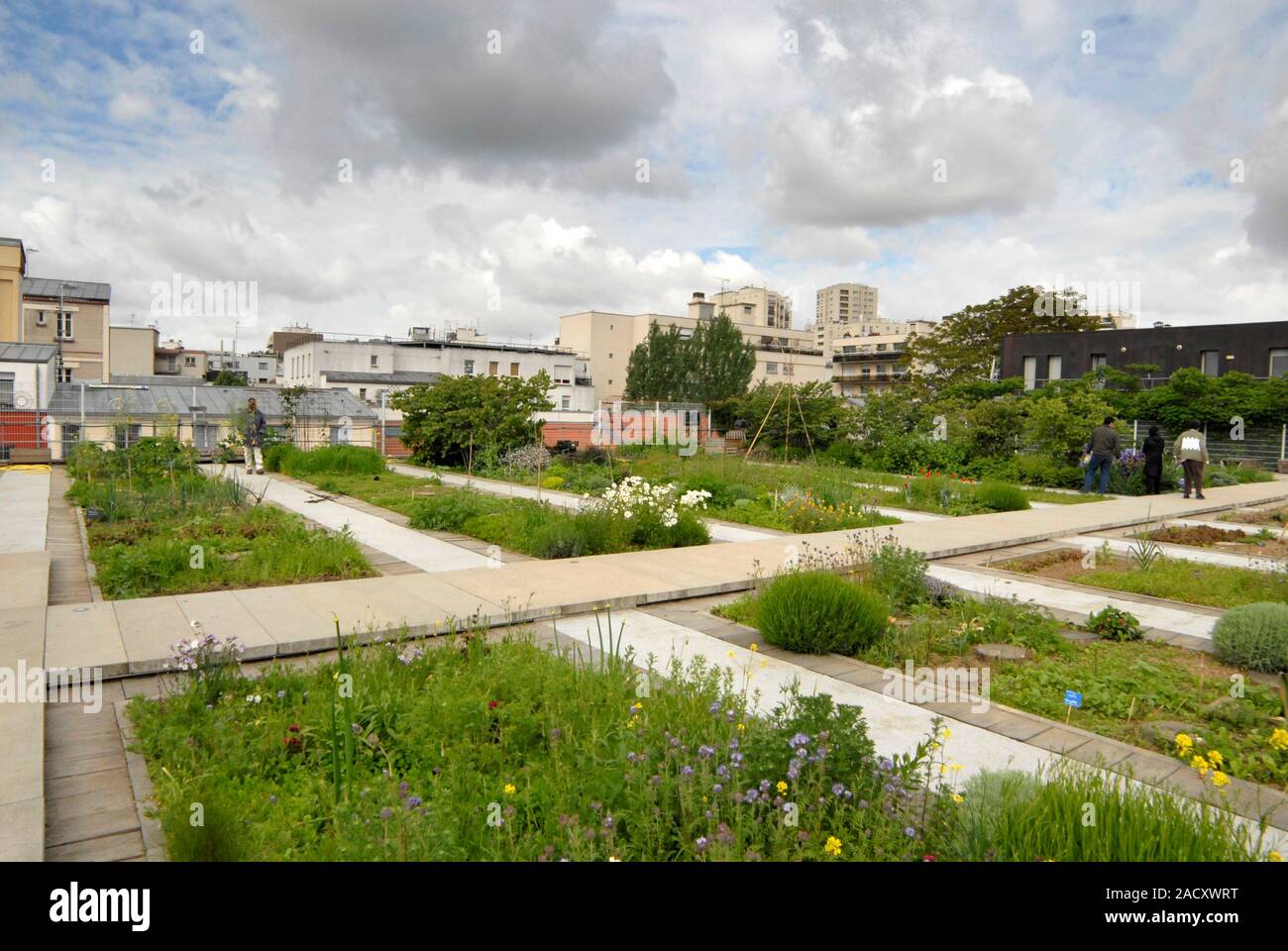 Roof garden. Photographed in Paris, France Stock Photo - Alamy