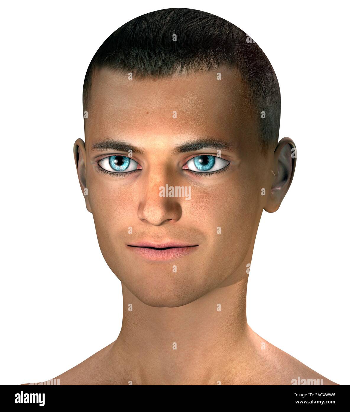 Future human. Artwork of a human at a future stage of evolution. It is ...