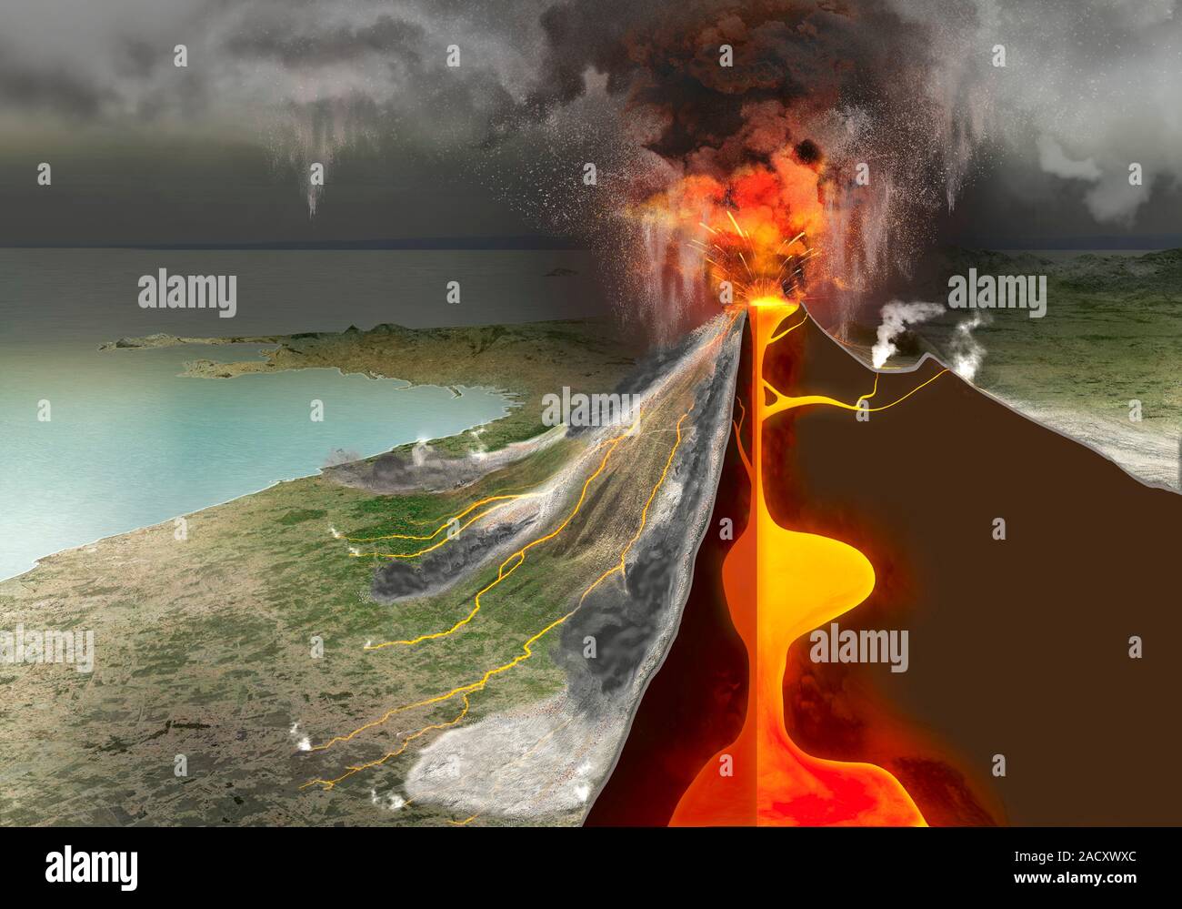 Eruption of Mount Vesuvius. Cutaway artwork showing the internal magma ...