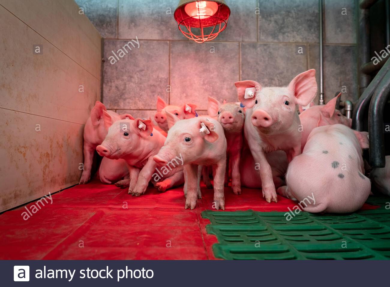 Agricultural Calendar High Resolution Stock Photography and Images - Alamy