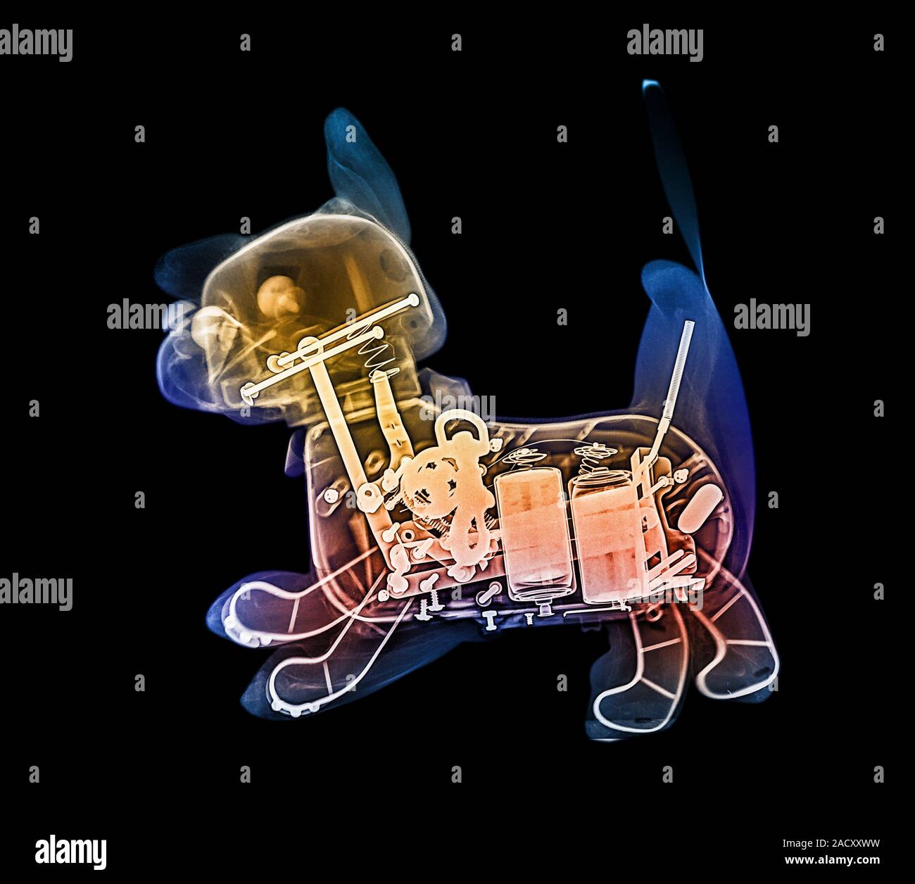 Toy robot dog, coloured X-ray Stock Photo - Alamy