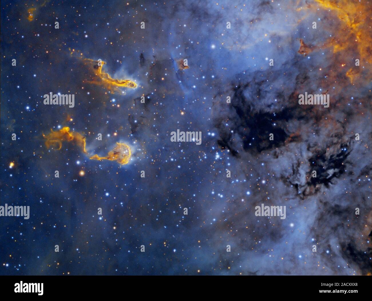 Tadpole nebula (IC 410), optical image. The tadpole-shaped clumps of dust and gas (left) that ...