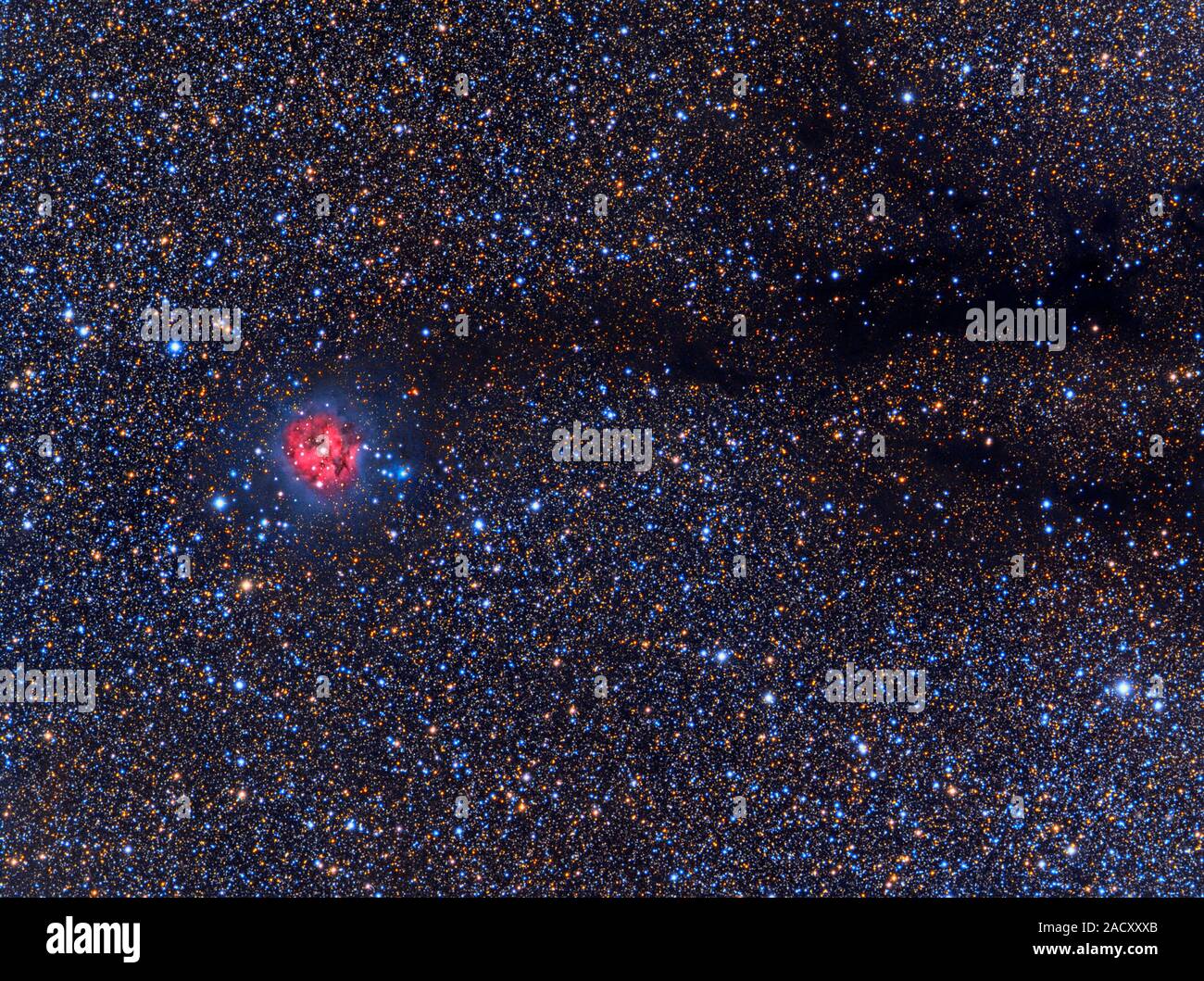Cocoon Nebula, optical image. This nebula is located around 4000 light ...