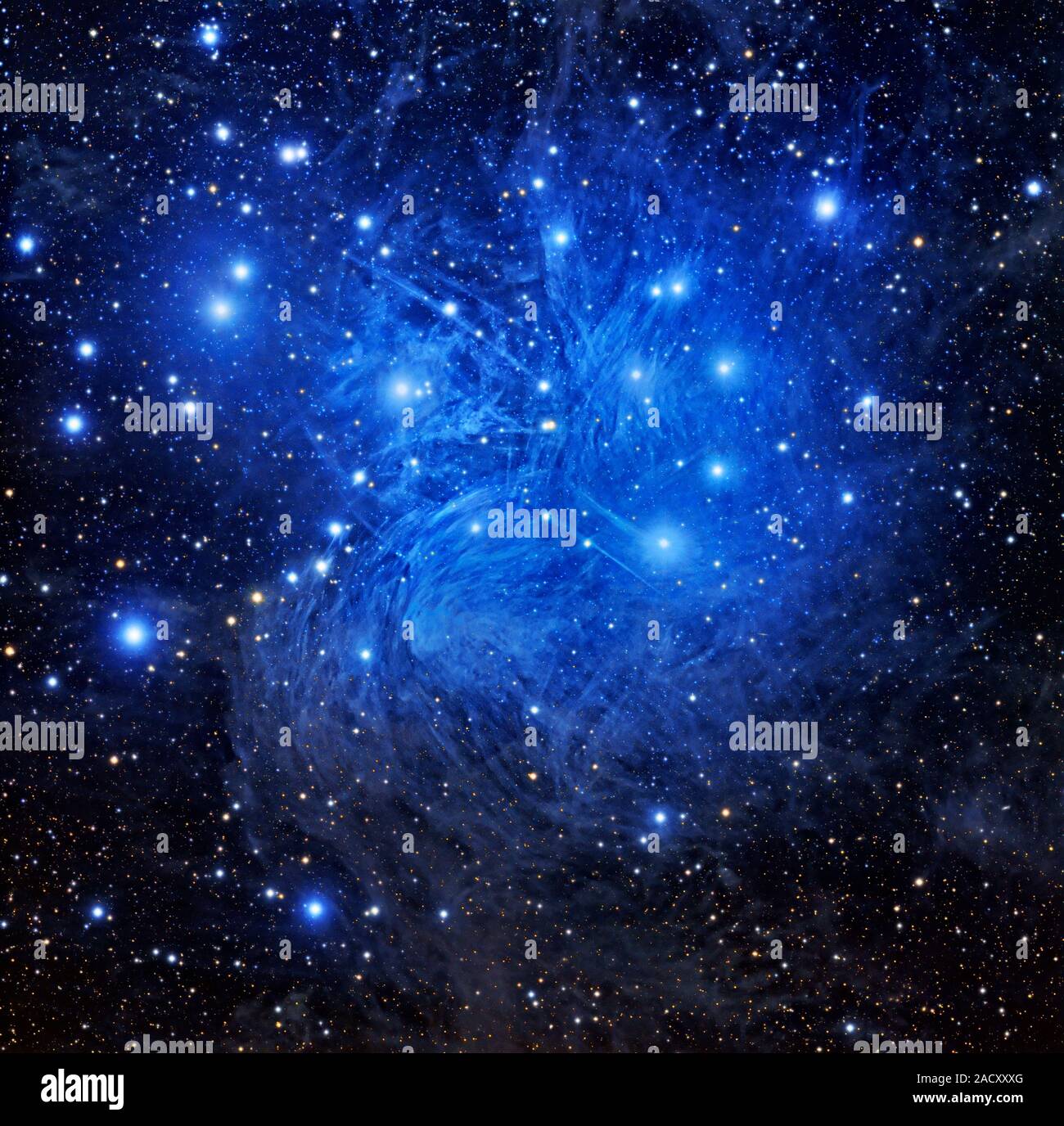 Pleiades star cluster, optical image. This open star cluster is located ...