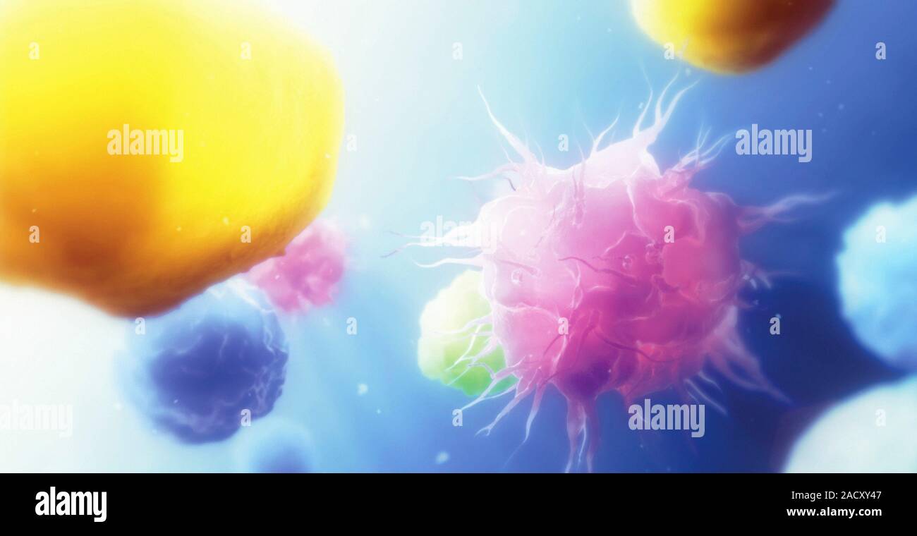 White blood cells, artwork. White blood cells are part of the body's ...
