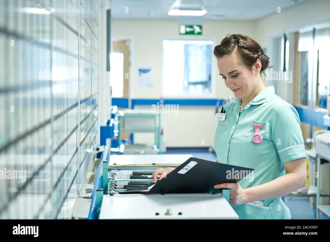 Apprentice clinical support worker reading patient notes Stock Photo ...