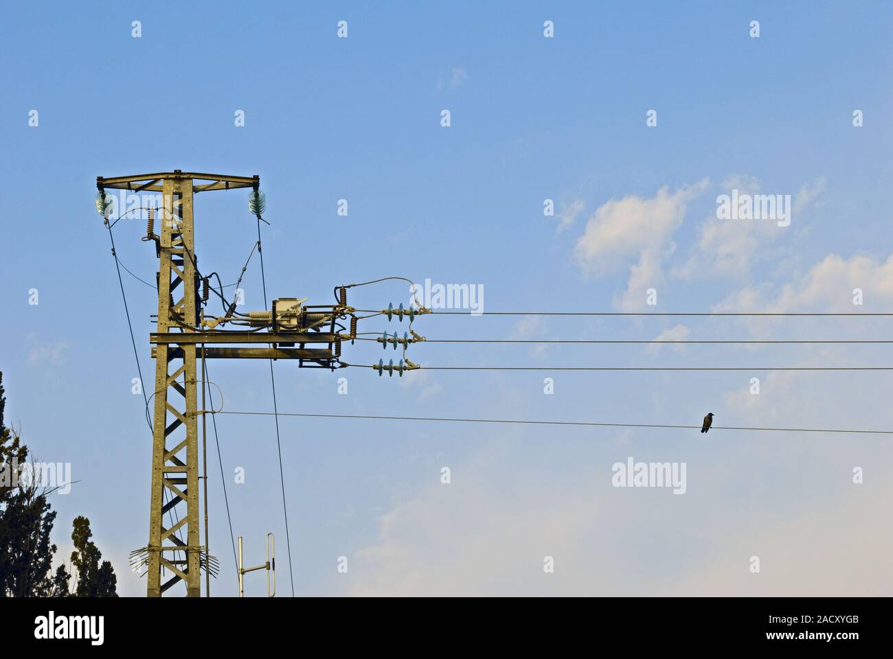 An overhead power line Stock Photo - Alamy