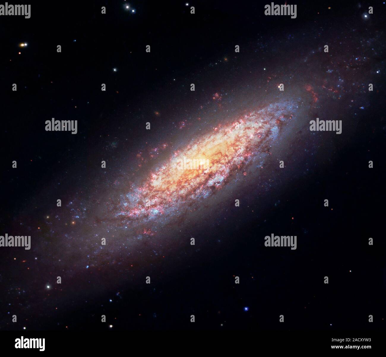 Dwarf spiral galaxy NGC 6503, composite image. This galaxy is located ...