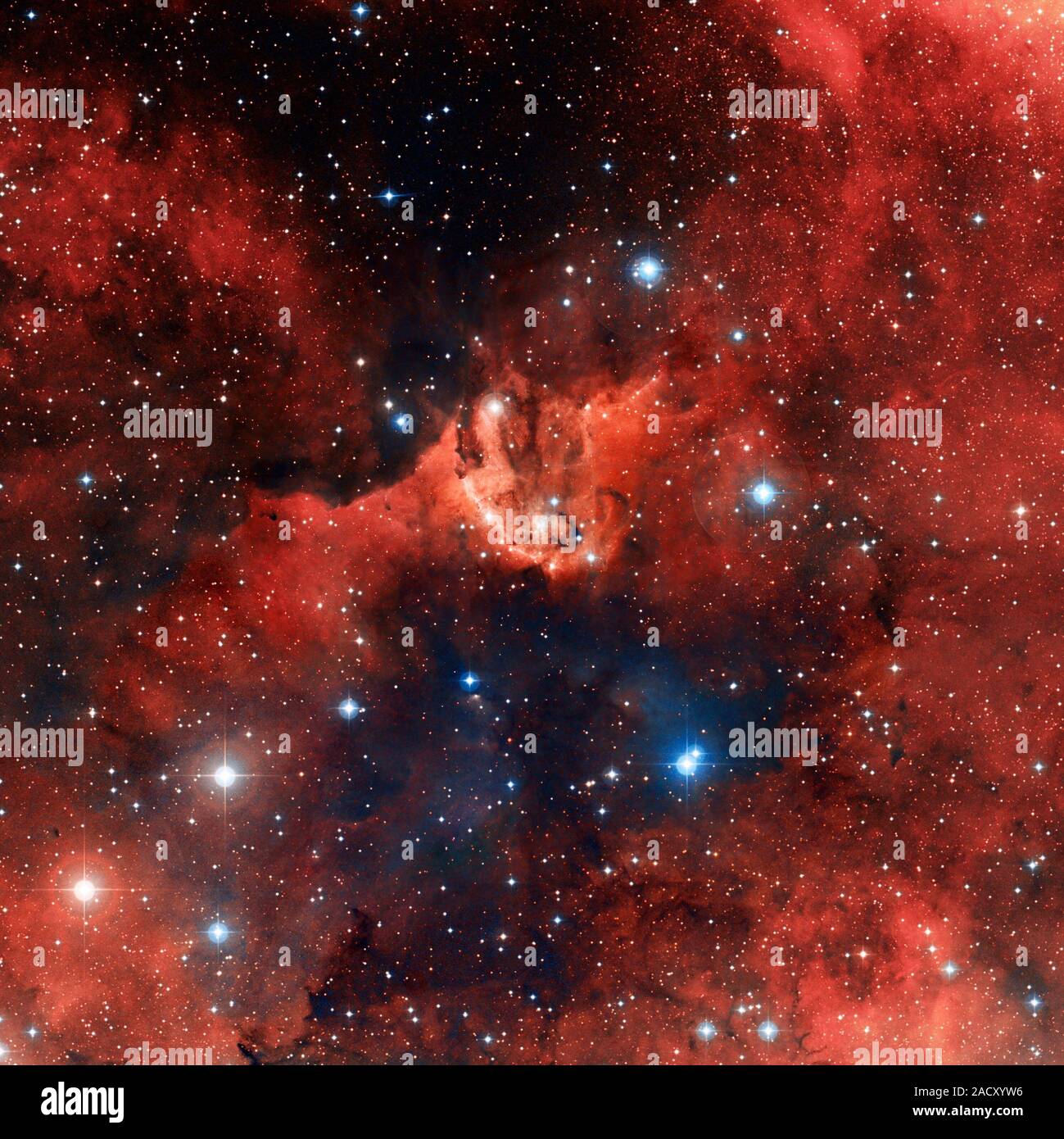 V1318 Cygni star cluster, composite image. Star-forming clusters such ...