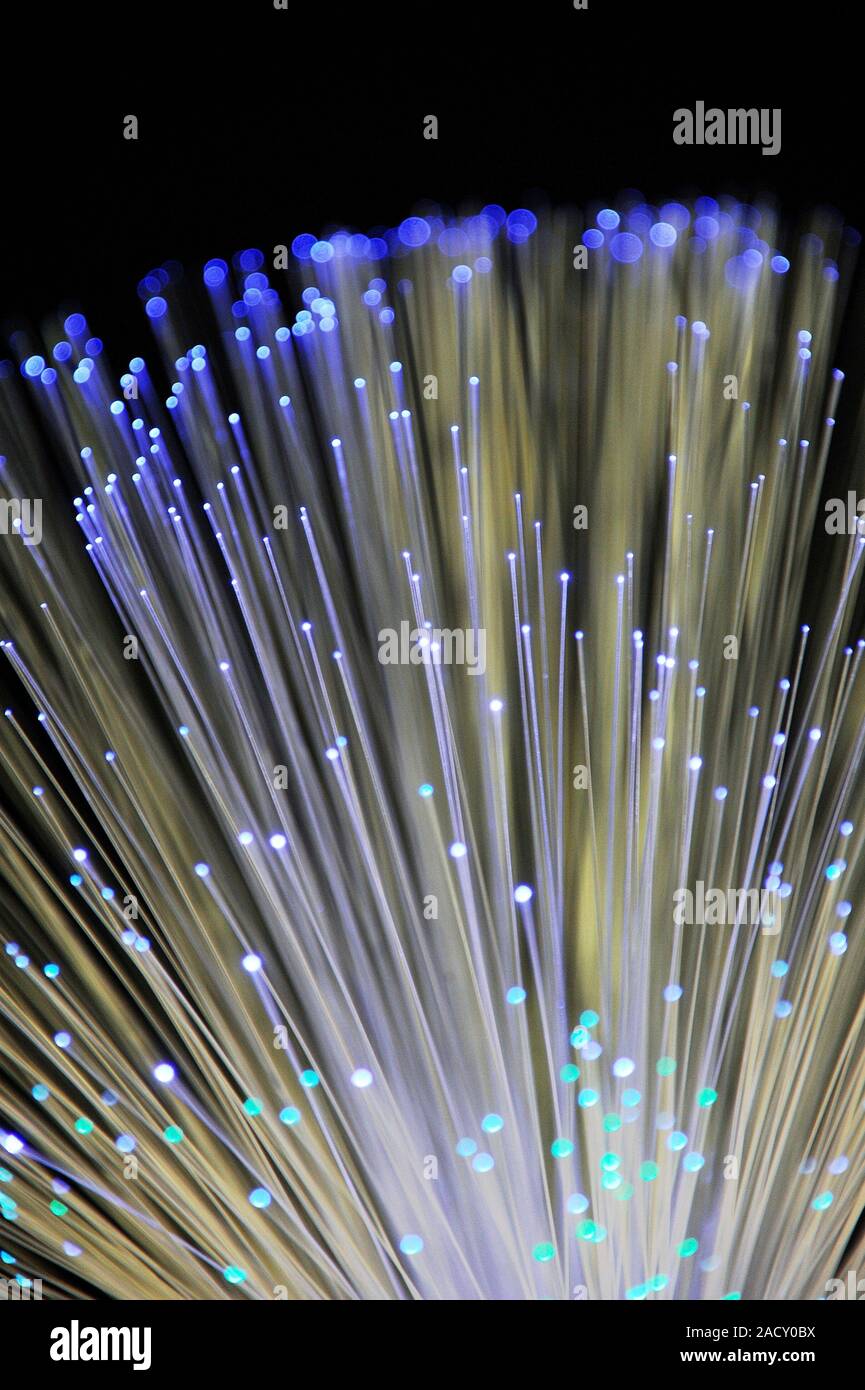 Optical fibres emitting light. These fibres are for a high-speed ...