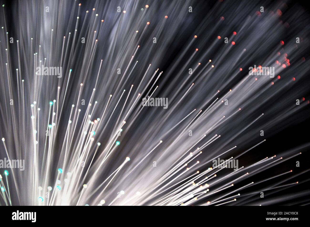 Optical fibres emitting light. These fibres are for a high-speed ...
