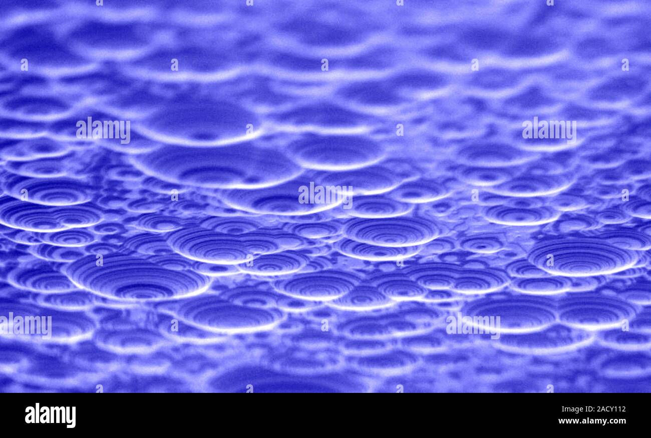 Laue lens prototypes, coloured scanning electron micrograph (SEM ...