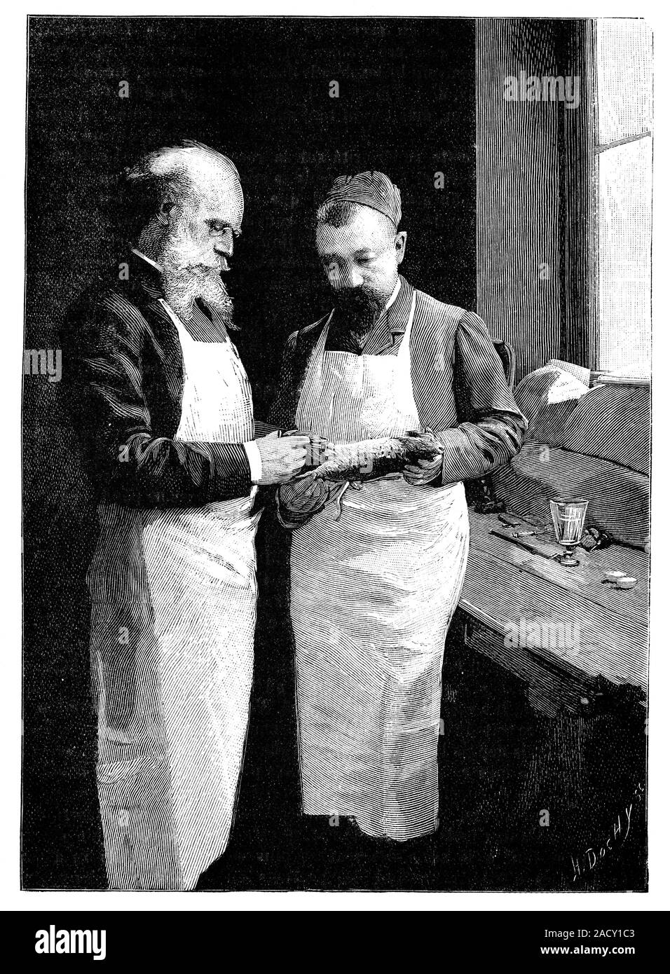 Alcoholism research, 19th-century artwork. French physician Jean ...