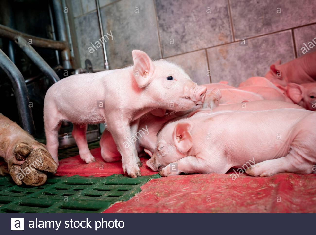 Agricultural Calendar High Resolution Stock Photography and Images - Alamy