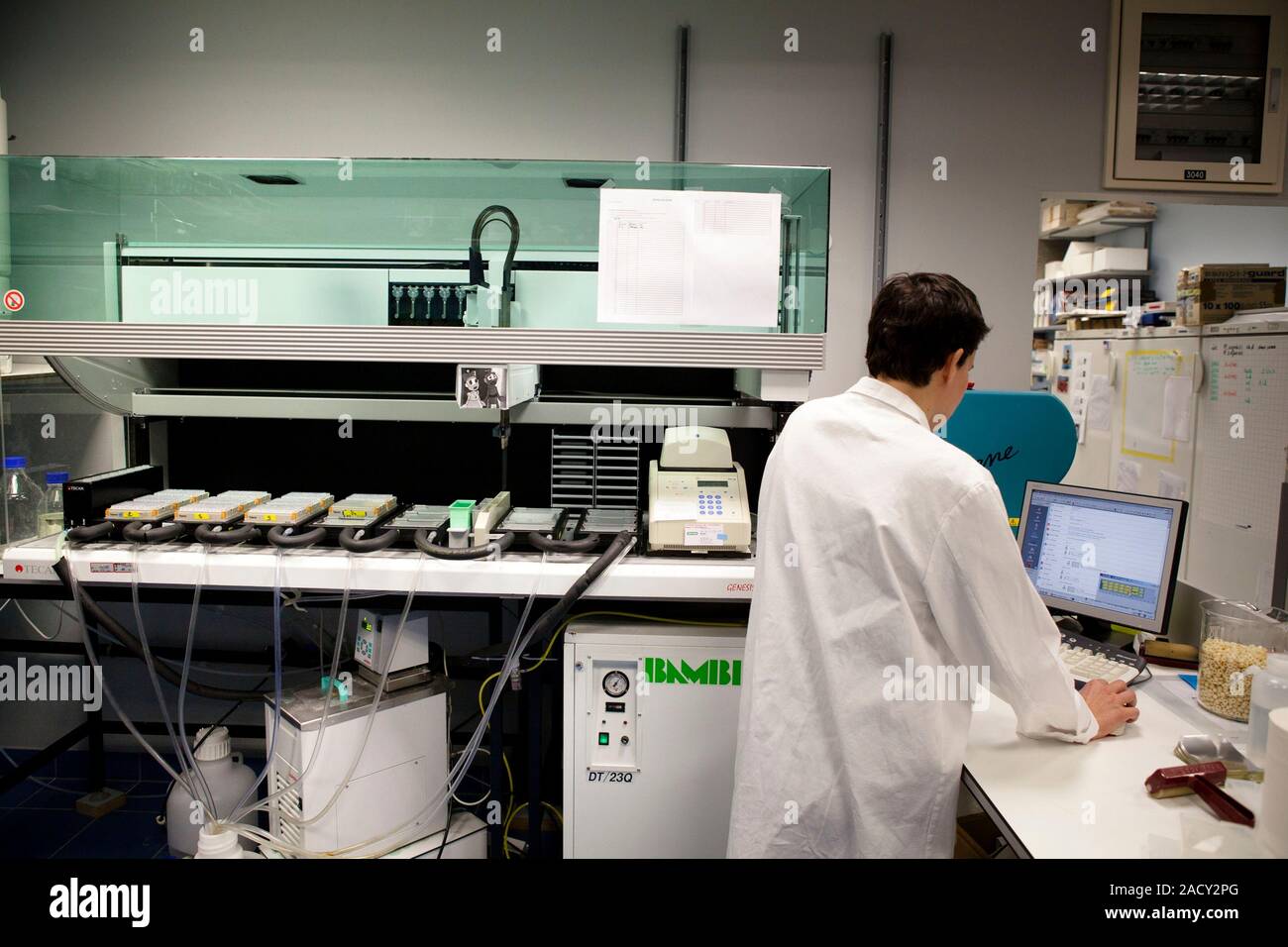 Animal research centre. Biochemist sequencing the genetic code of a ...