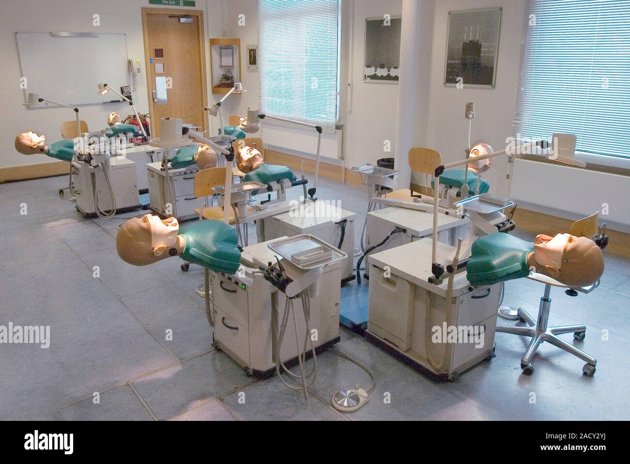 Dentistry training room. Training dummies in a room used to teach ...