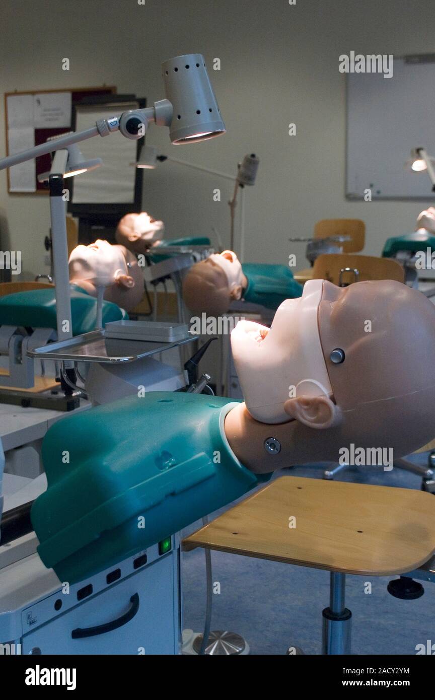 Dentistry training room. Training dummies in a room used to teach ...