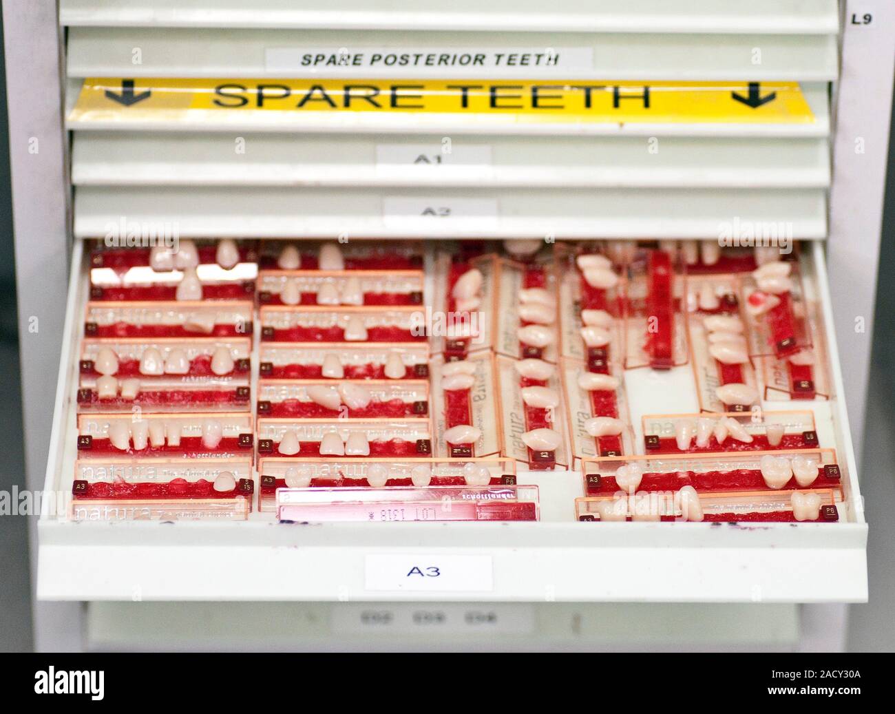 Dental veneers. Drawer full of assorted spare dental veneers. In ...