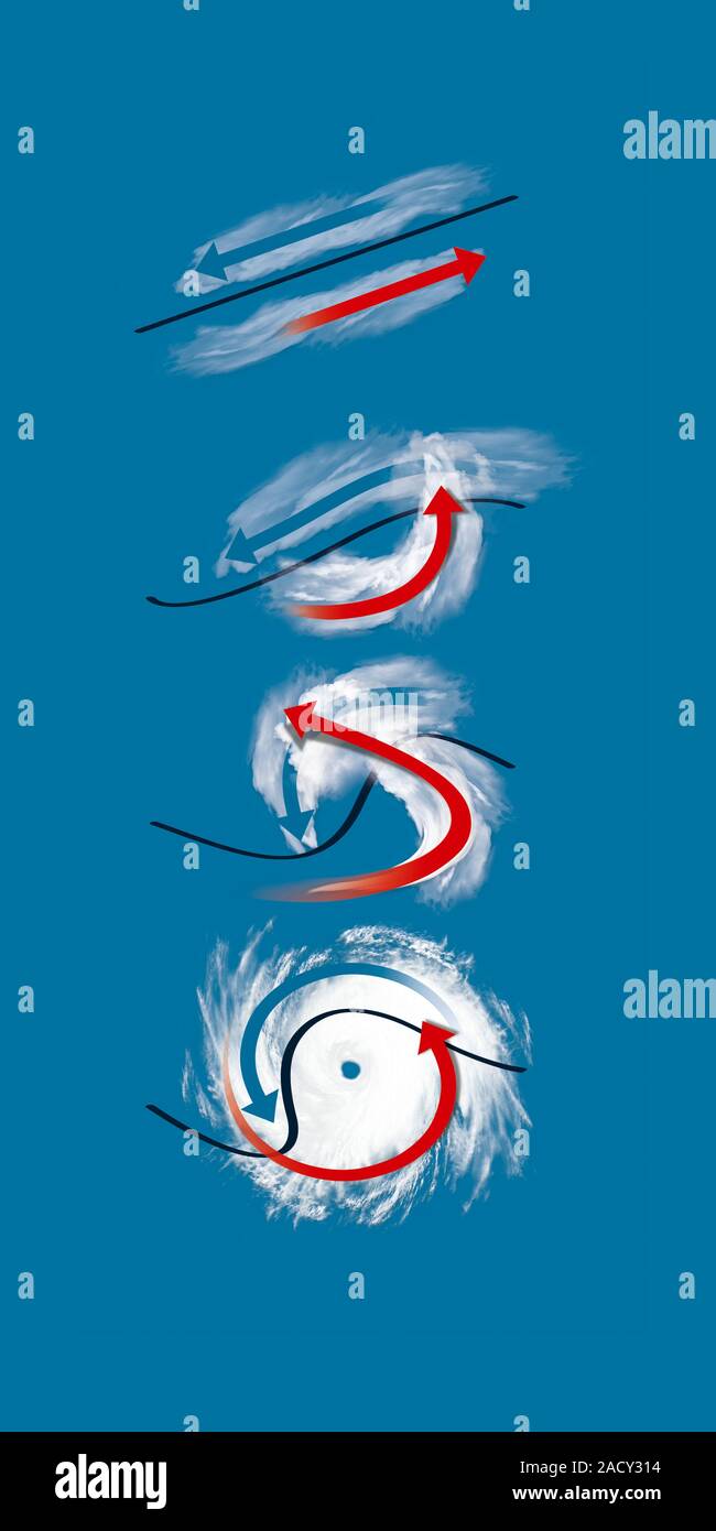 Formation of a hurricane. Computer artwork showing how a hurricane ...