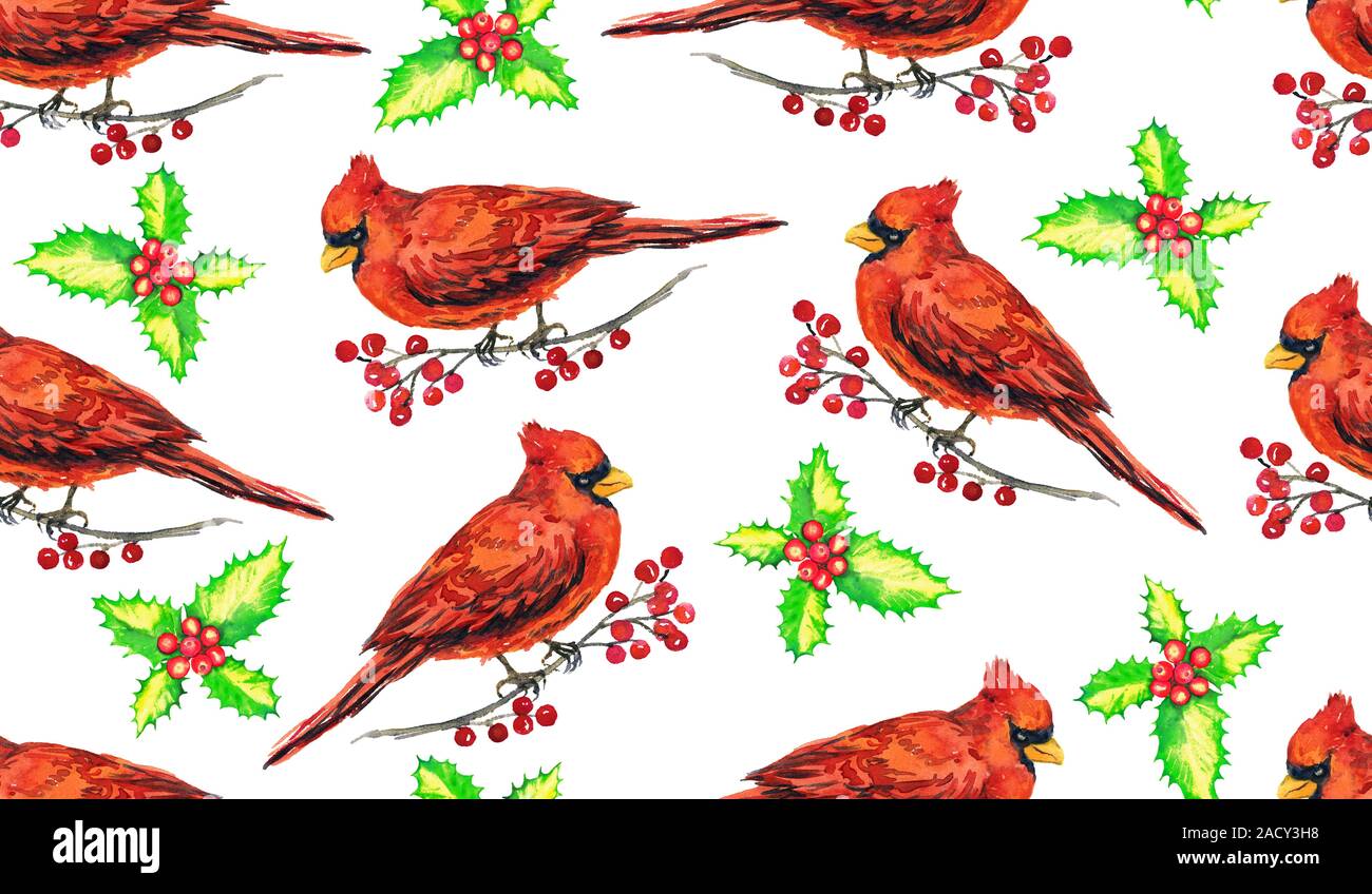 Cardinal birds on branches with red berries, hand painted watercolor ...